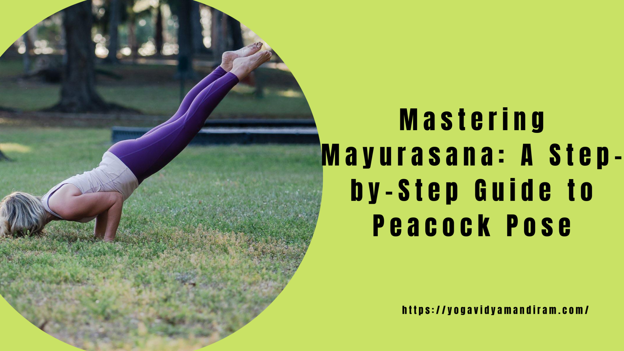 Mastering Mayurasana: A Step-by-Step Guide to Peacock Pose